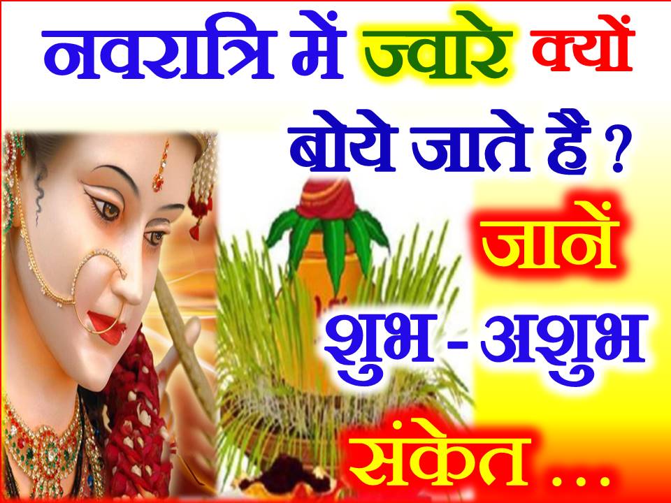 नवरात्रि में ज्वारे के शुभ अशुभ संकेत Importants of Jware in Navratri 2022