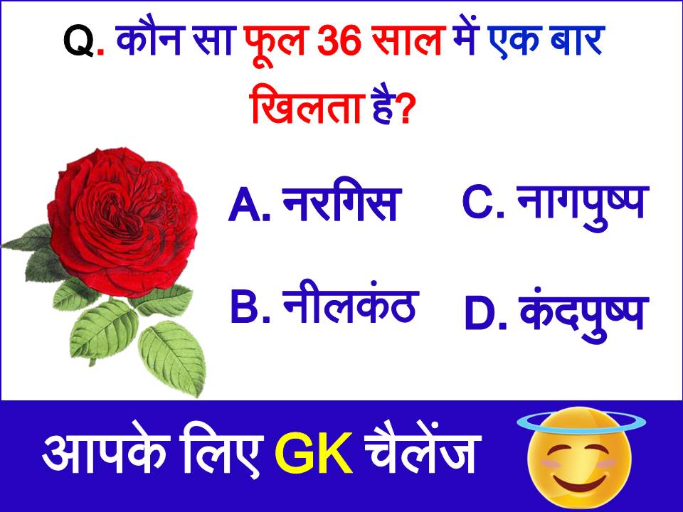 GK Question Answer Current Affairs GK Quiz सामान्य ज्ञान के प्रश्न उत्तर